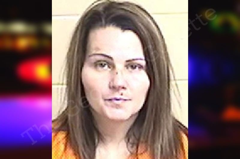 Heather Traylor — Walker County Jail Bookings