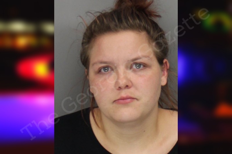 Somer Willard — Cobb County Jail Bookings