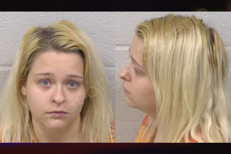 Megan Warren — Paulding County Jail Bookings