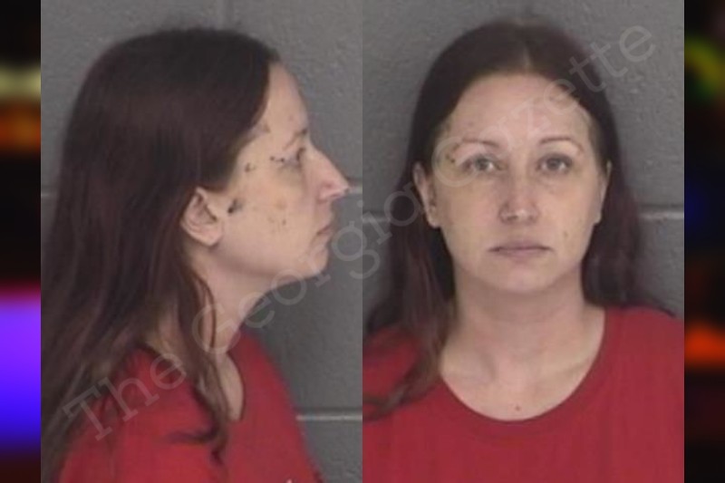 Ashlee Watson — Barrow County Jail Bookings