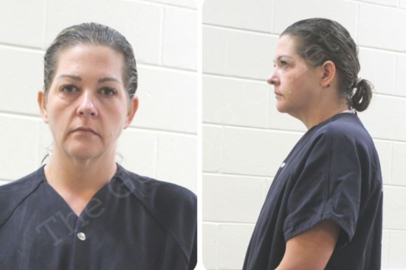 Michelle Westbrook — Houston County Jail Bookings Michelle Westbrook — Houston County Jail Bookings