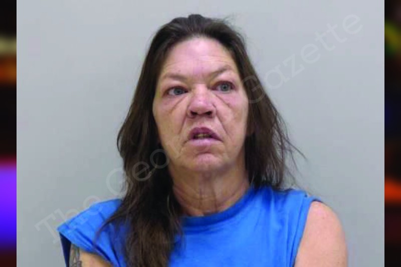 Wanda White — Bartow County Jail Bookings
