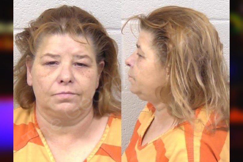 Tracy Wilson — Paulding County Jail Bookings