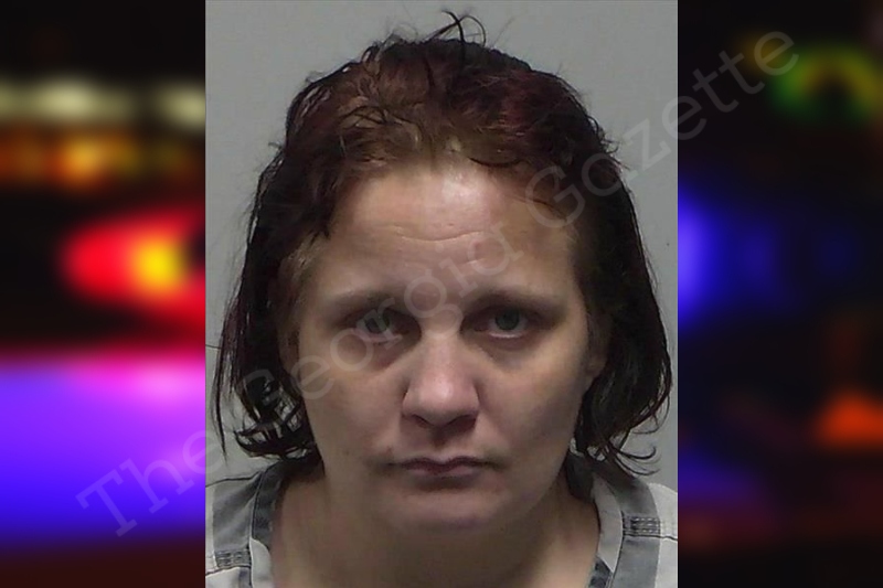 Heather Winston — Tift County Jail Bookings