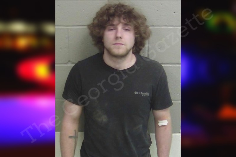 Layton Woods — Wayne County Jail Bookings