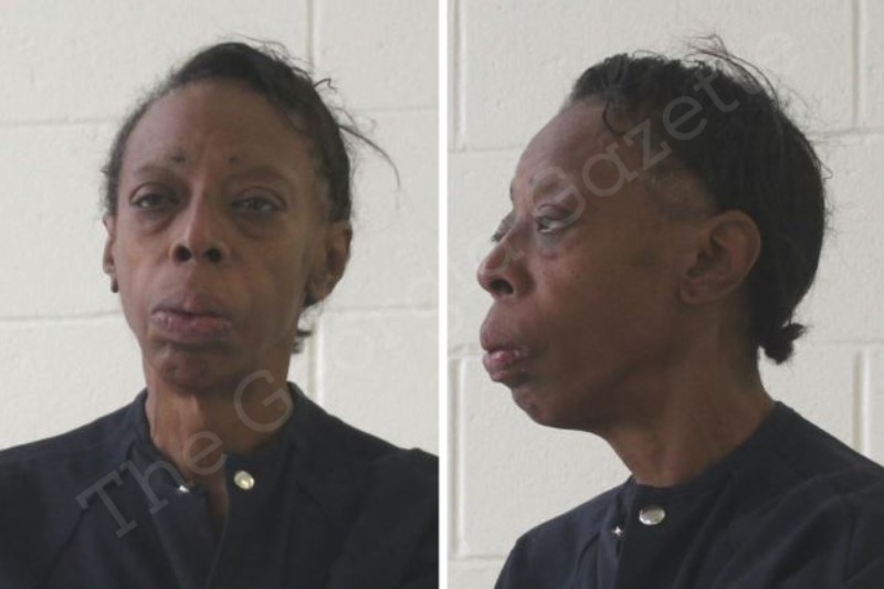 Tracy Wright — Houston County Jail Bookings