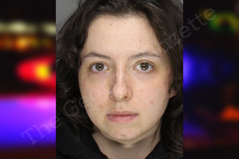 Cameron Atkinson — Cobb County Jail Bookings