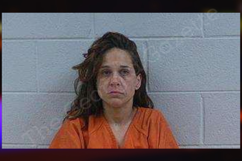 Sylvia Adkins — Polk County Jail Bookings