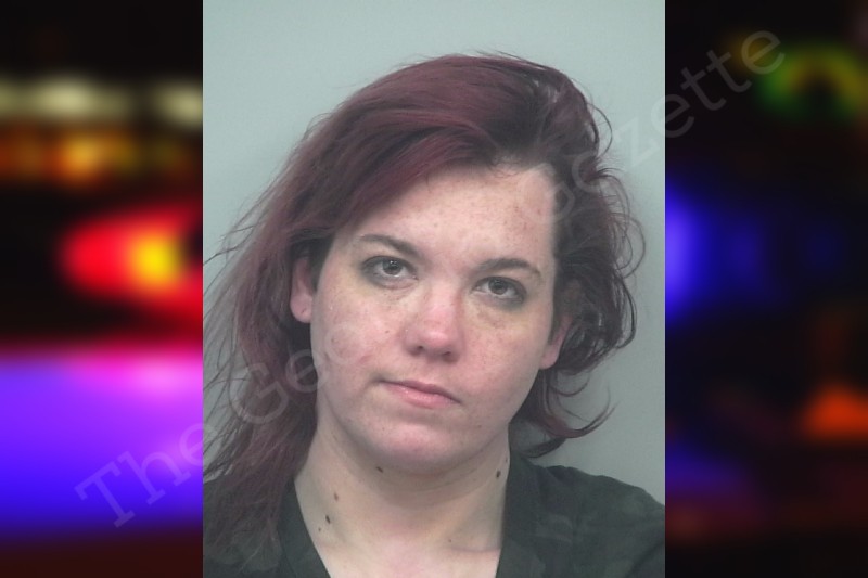 Hannah Bailey — Gwinnett County Jail Bookings