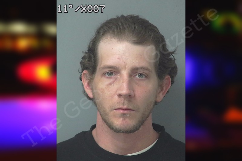 Paul Bean — Gwinnett County Jail Bookings