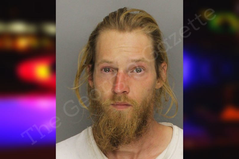 Justin Bridges — Cobb County Jail Bookings