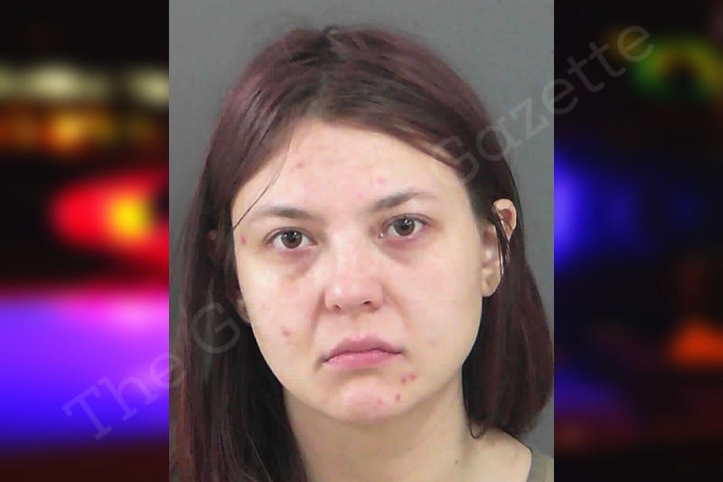 Ashley Beecher — Gordon County Jail Bookings