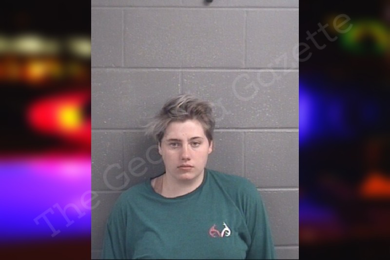 Hailey Boyett — Spalding County Jail Bookings