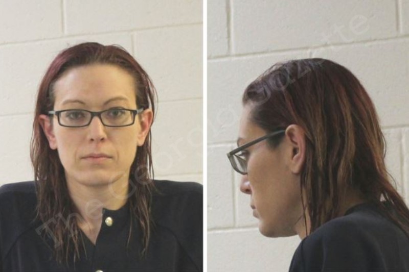 Lauren Broad — Houston County Jail Bookings