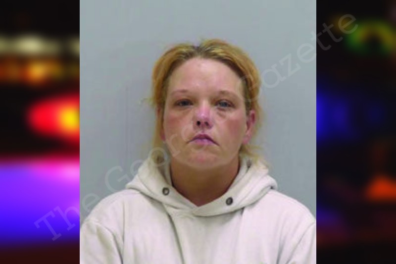 Crystal Byers — Bartow County Jail Bookings