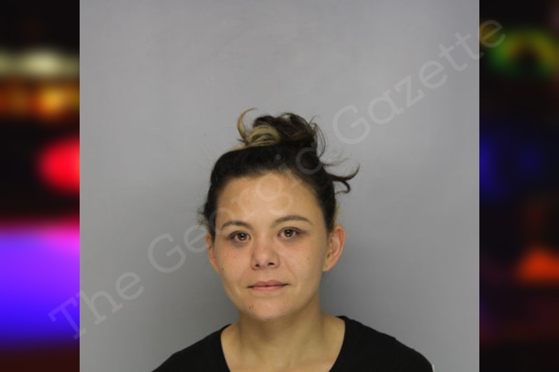 Lina Chambers — Hall County Jail Bookings