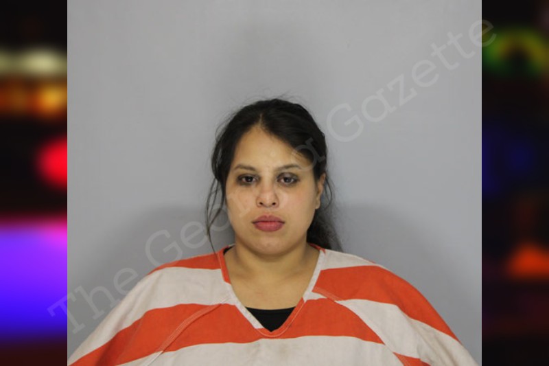 Judith Chavez — Hall County Jail Bookings