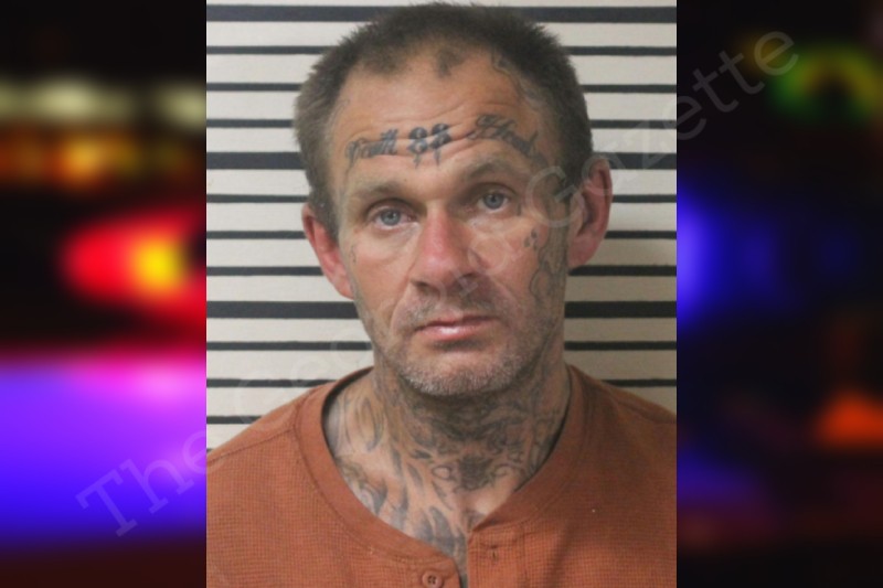 Timothy Childs — Toombs County Jail Bookings