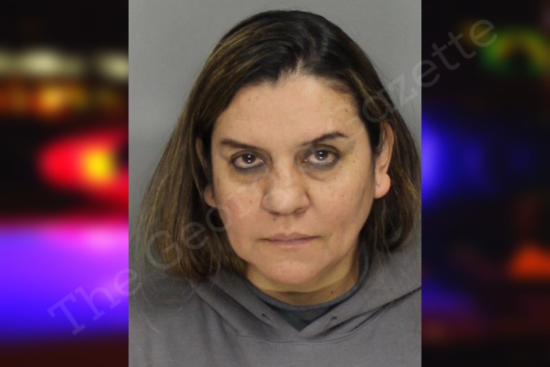 Jessica Colan — Cobb County Jail Bookings