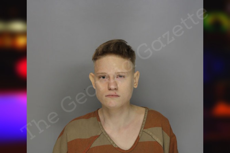 Alyssa Cook — Hall County Jail Bookings
