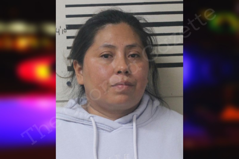 Maria Cruz-Limon — Toombs County Jail Bookings