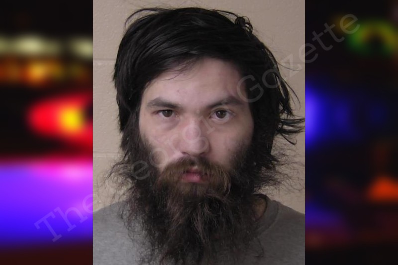 Joseph Chastain — Walker County Jail Bookings