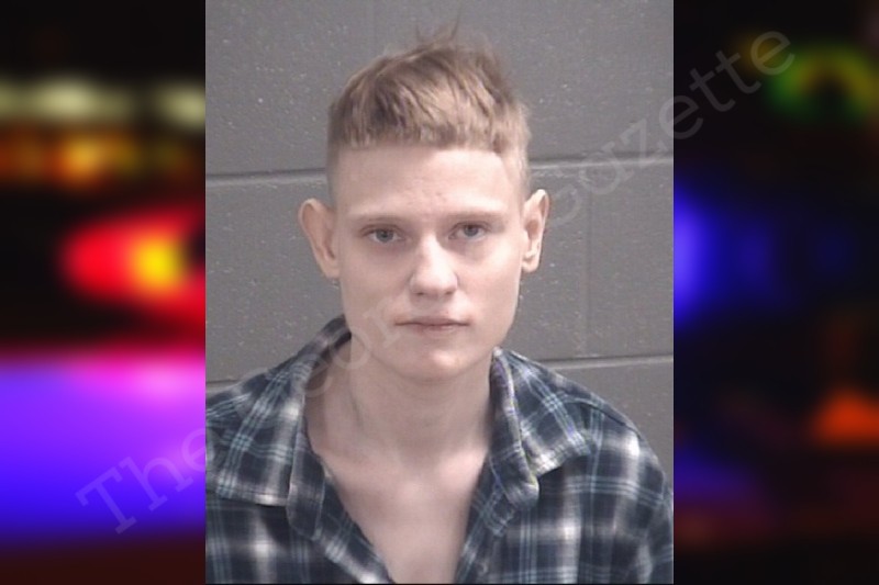 Alyssa Cook — Spalding County Jail Bookings