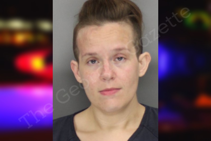 Kayla Delay — Cobb County Jail Bookings