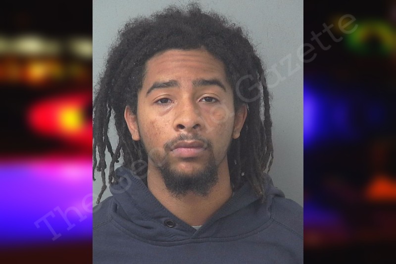 Nicholas Dyer — Gwinnett County Jail Bookings