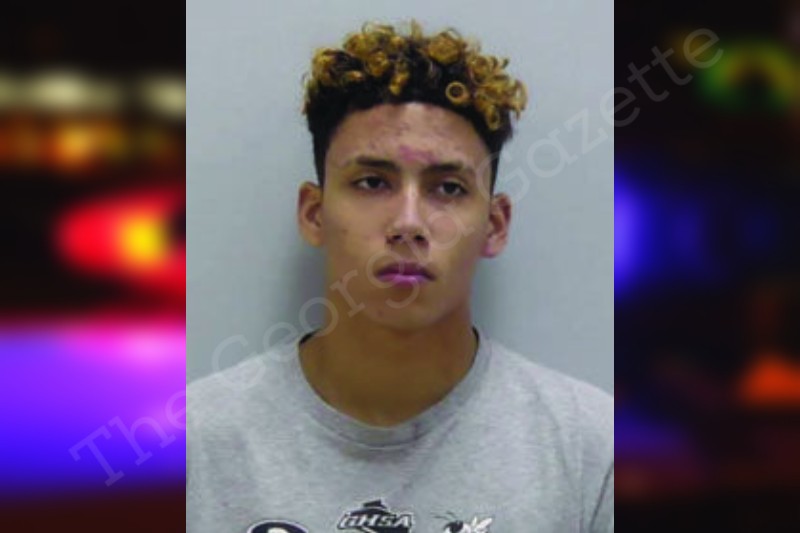 Treylin Davis — Bartow County Jail Bookings