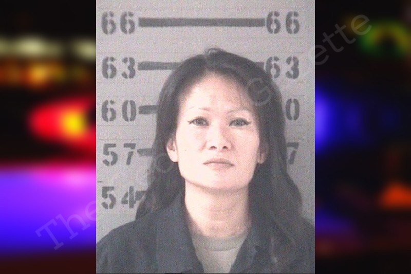 Julie Dinh — Dougherty County Jail Bookings