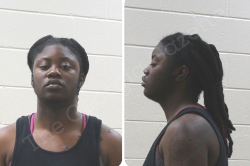 Katelyn Dixon — Houston County Jail Bookings