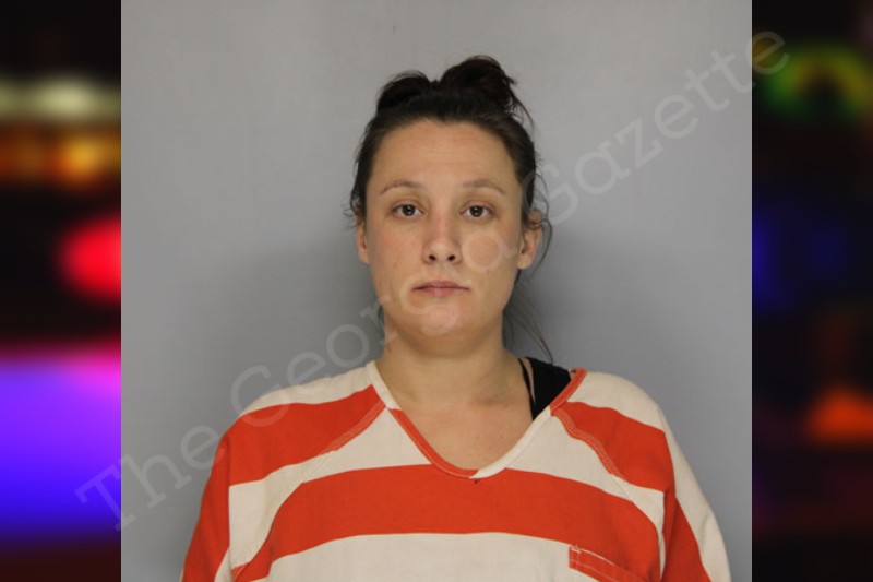 Shaina Elefant — Hall County Jail Bookings