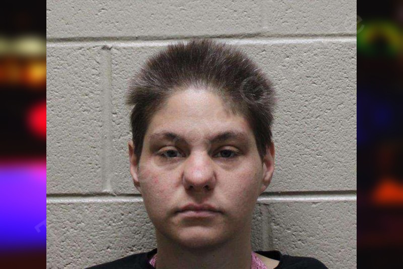 Madison Ellard — Haralson County Jail Bookings