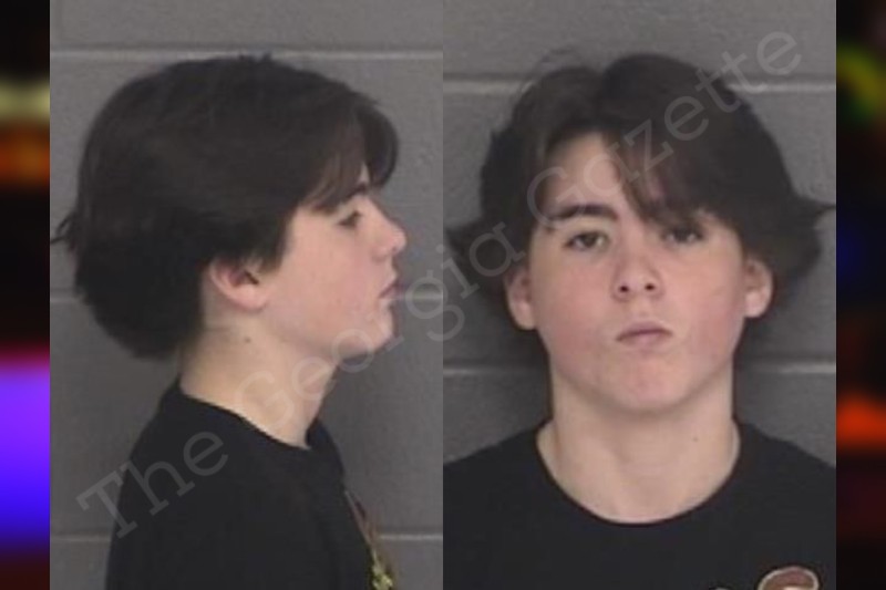 Timothy Eisner — Barrow County Jail Bookings