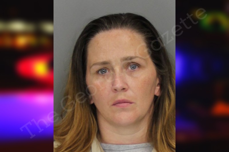 Raina Fink — Cobb County Jail Bookings