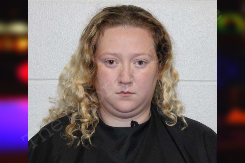 Brandy Finnell — Habersham County Jail Bookings