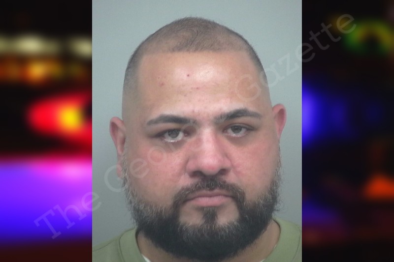 Sean Frank — Gwinnett County Jail Bookings