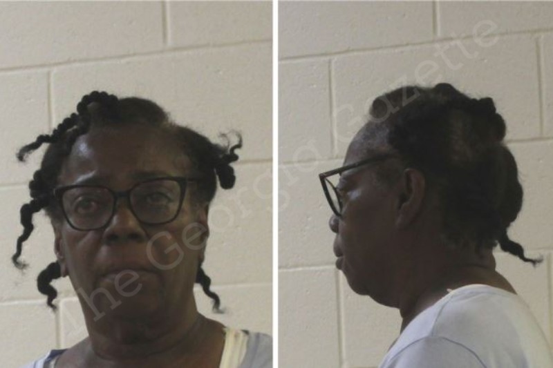 Frances Faines — Houston County Jail Bookings