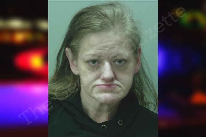 Aimee Fannin — Towns County Jail Bookings