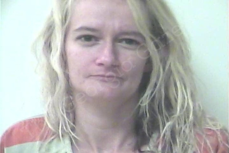 Christy Fitzpatrick — Oconee County Jail Bookings