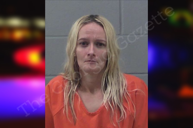 Christy Fitzpatrick — Madison County Jail Bookings