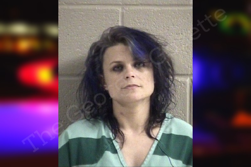 Kristin Fortenberry — Whitfield County Jail Bookings