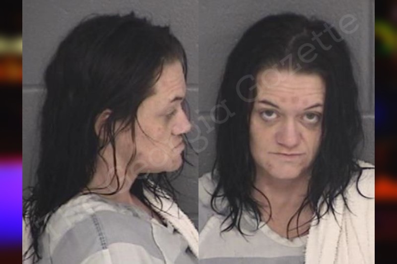 April Fowler — Barrow County Jail Bookings