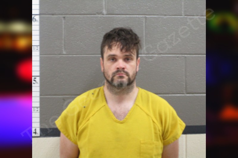 Brandon Reems — Banks County Jail Bookings