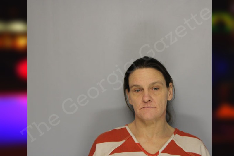 Misty Garner — Hall County Jail Bookings