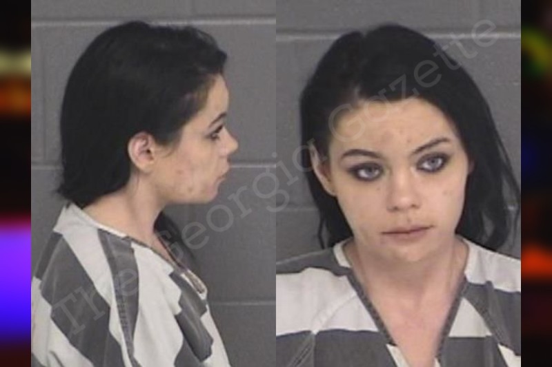Courtney Goodwin — Barrow County Jail Bookings