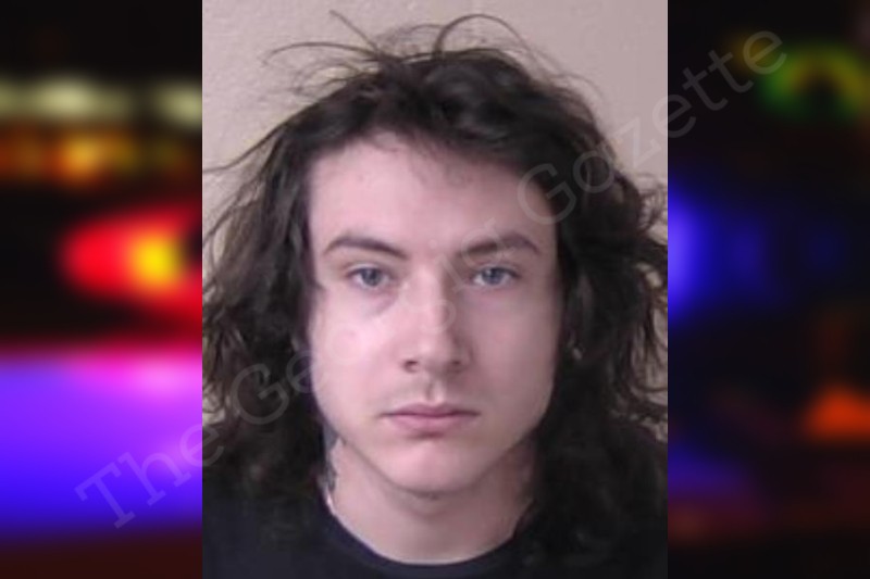 Marshal Guffey — Walker County Jail Bookings