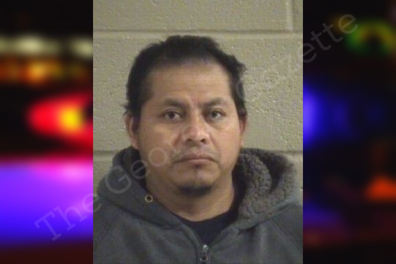 Mario Hernandez-Lopez — Whitfield County Jail Bookings