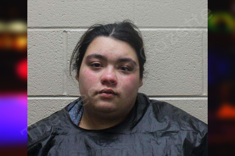Jasmine Holbert — Haralson County Jail Bookings
